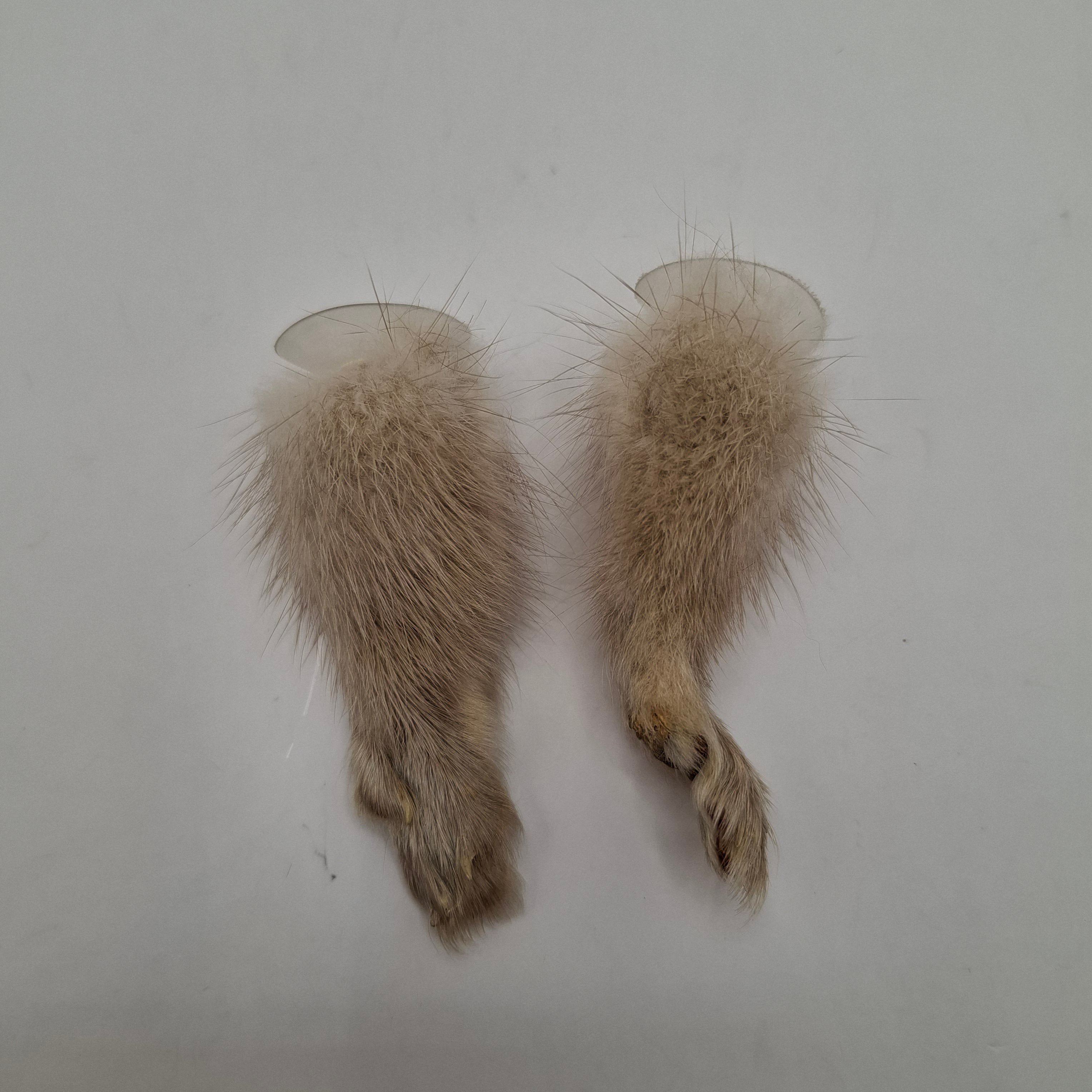 Limited Edition Window Leg – The World Around Ewe