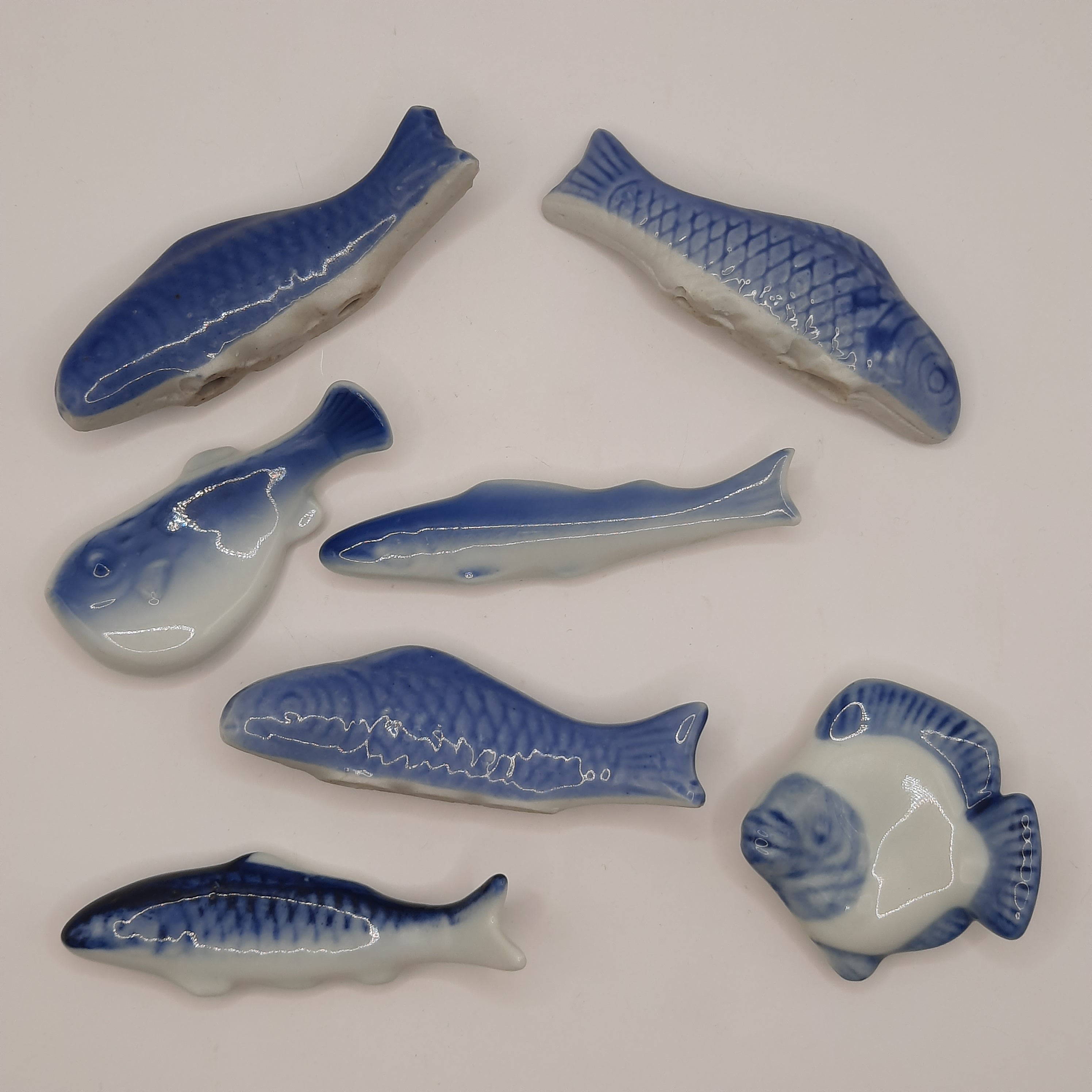 Ceramic Fish – The World Around Ewe