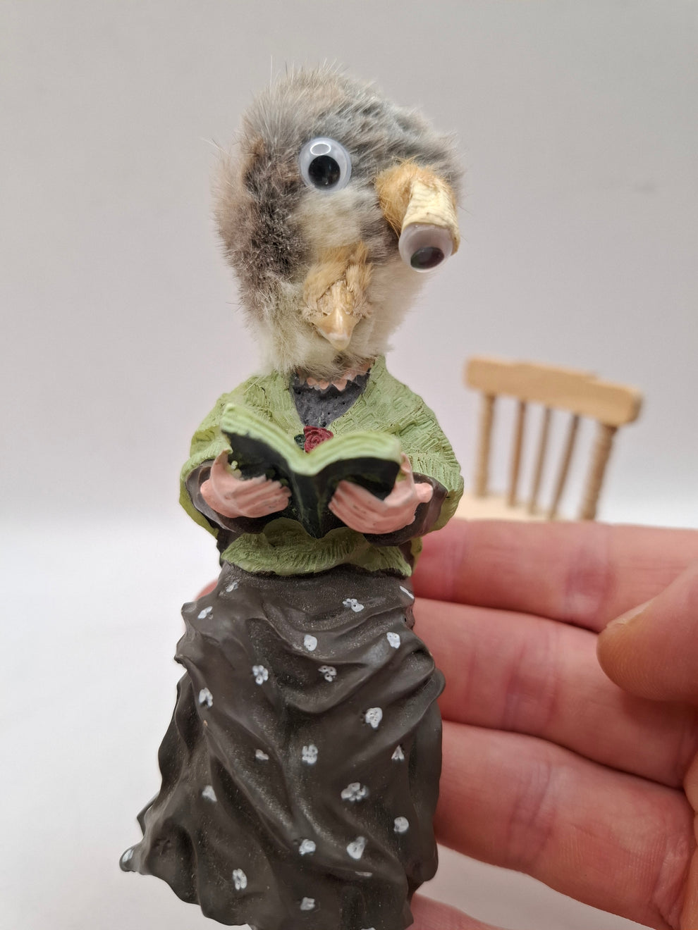 My One Good Eye – The World Around Ewe