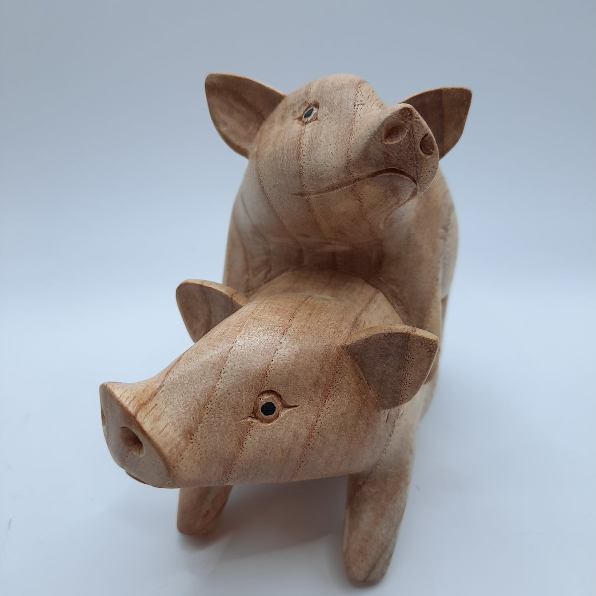 Pigs Shagging – The World Around Ewe